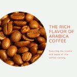 What is Arabica Coffee? A Comprehensive Guide to Explore The Origins ...